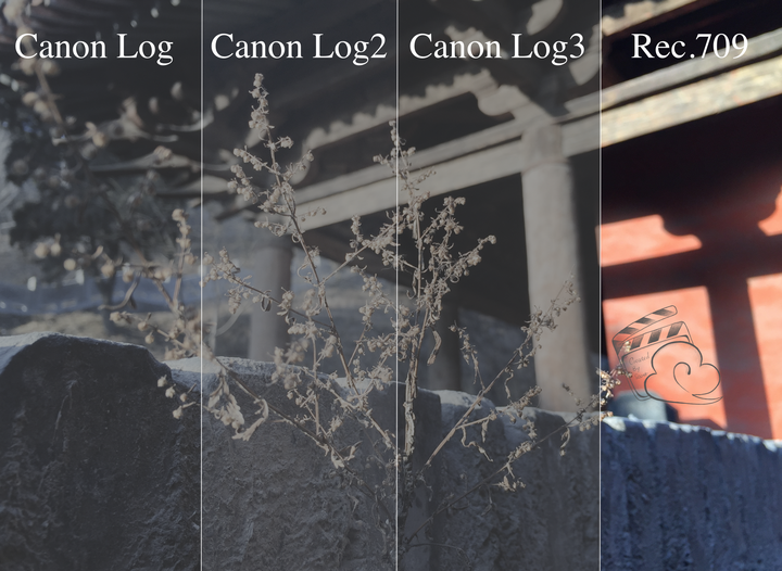 log图-调色名词浅析——相机的 Log 模式_爱优创